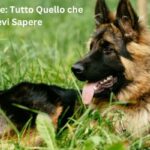 Canepardo: Una Guida Completa alla Razza – Country Boost